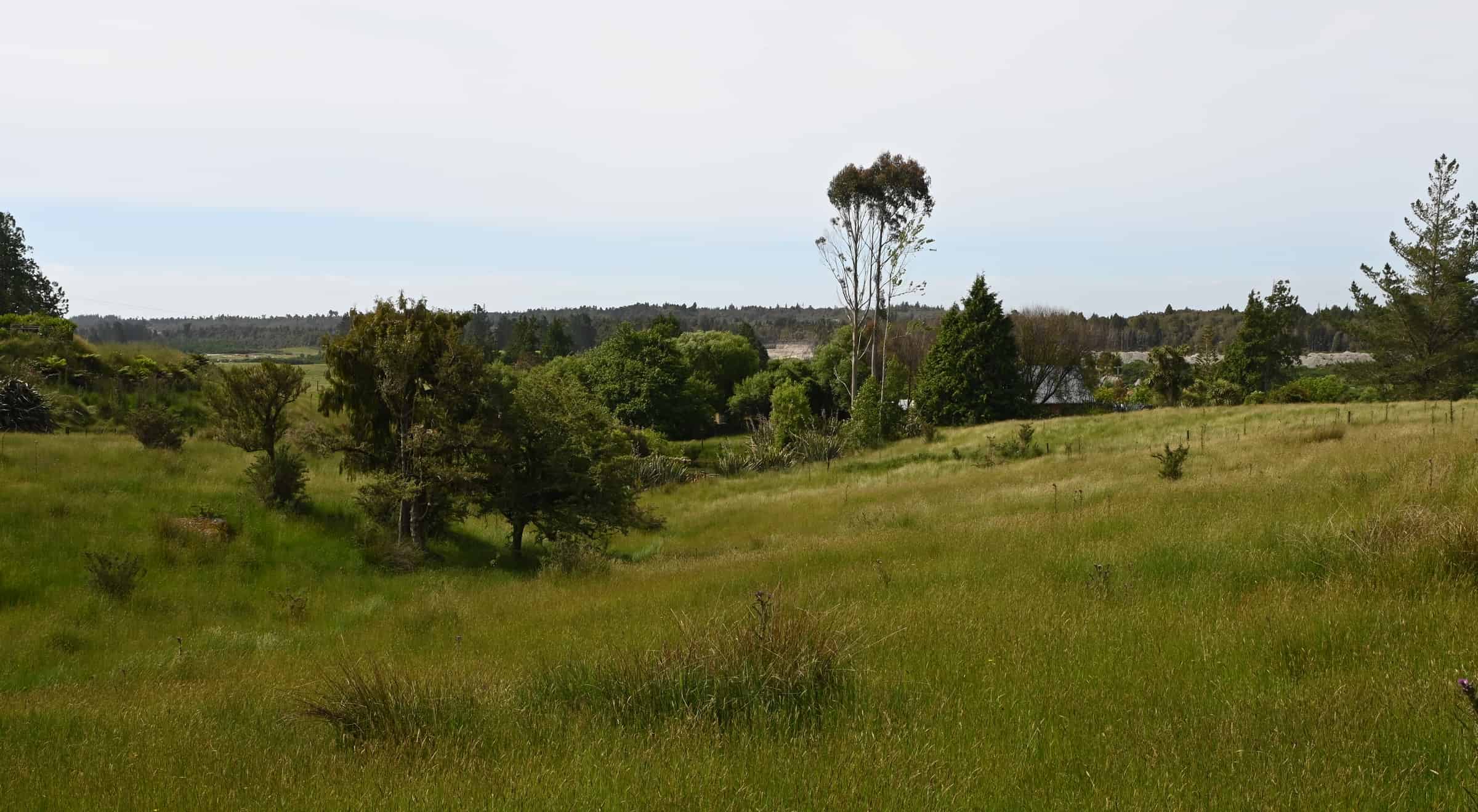 Woodstock-Rimu Road, Ruatapu, Westland - For Sale - realestate.co.nz