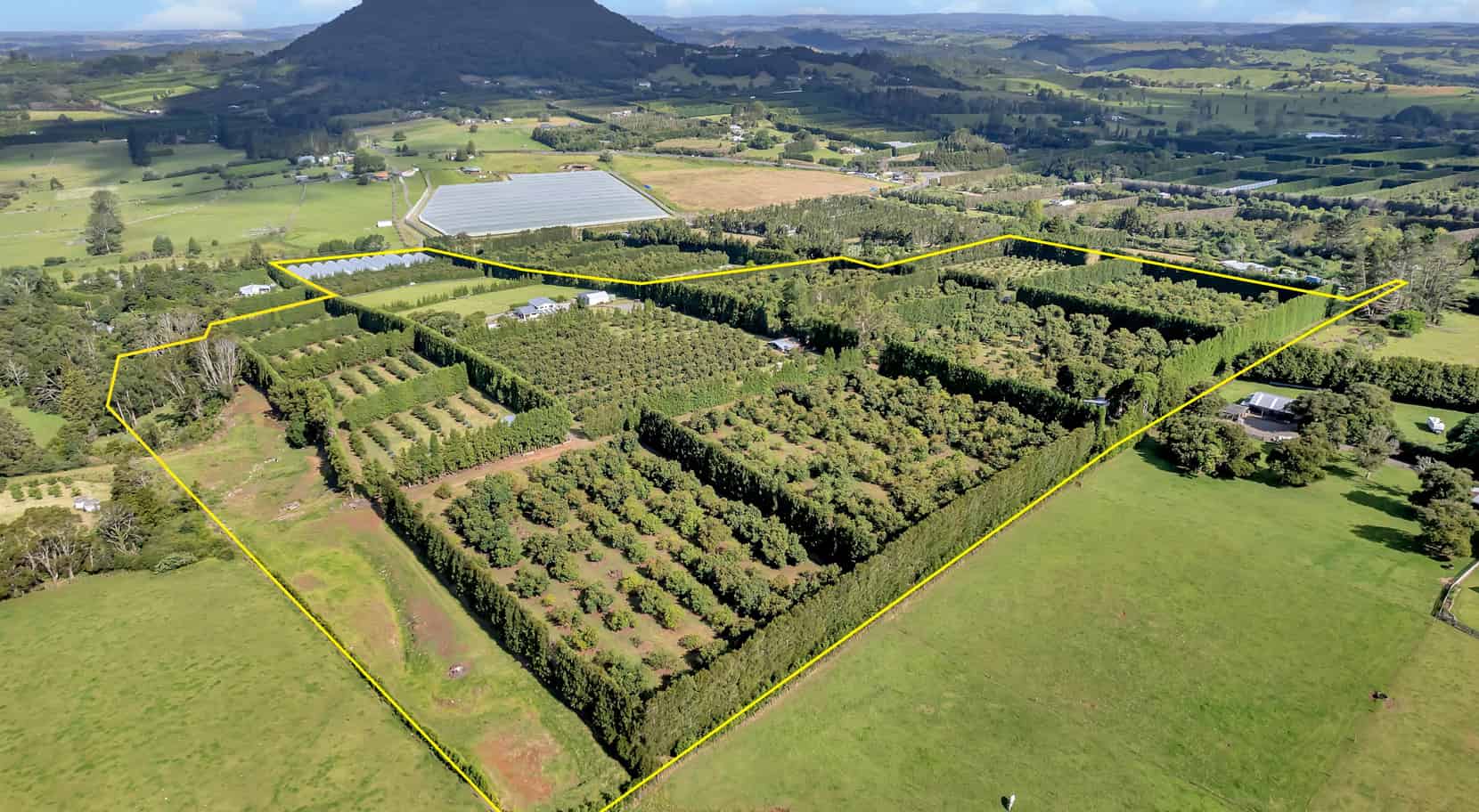 65 Tatton Road, Maungatapere, Whangarei - For Sale - realestate.co.nz