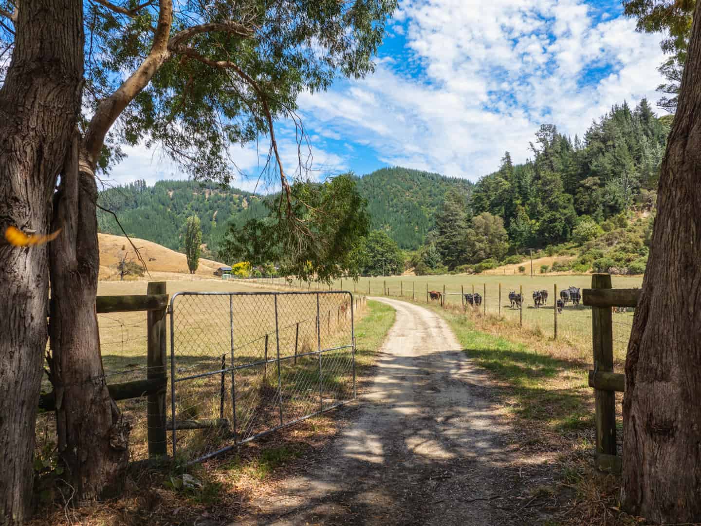 Marlborough Rural Farms and Real Estate for Sale - realestate.co.nz