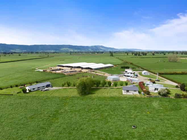 Matamata-Piako Rural Farms and Real Estate for Sale - realestate.co.nz