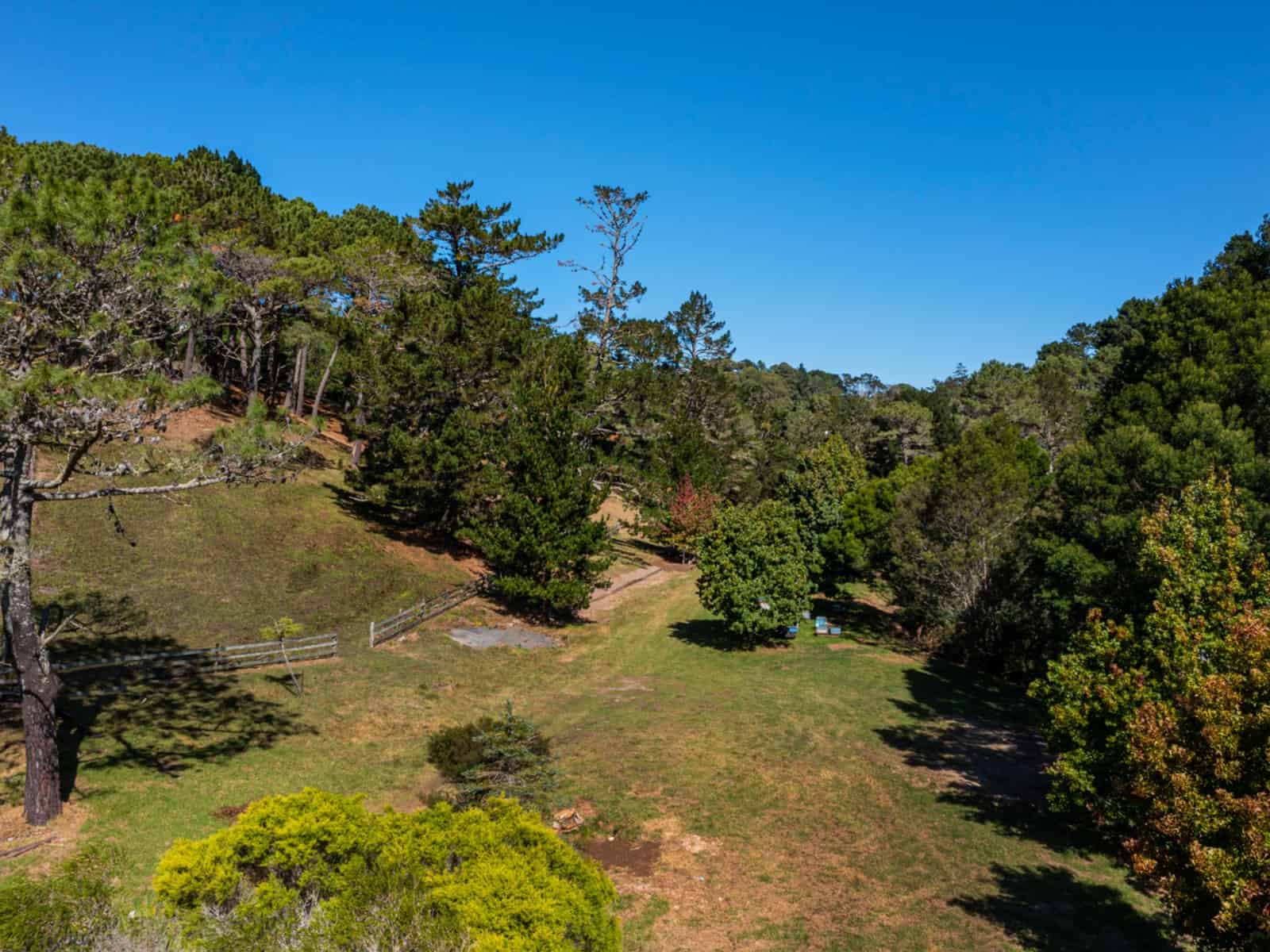 Redvale Homes and Real Estate for Sale - realestate.co.nz