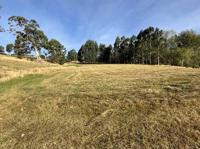 East Taieri Homes and Real Estate for Sale - realestate.co.nz