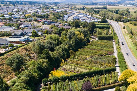 Property value - 1 Roberts Line, Kelvin Grove - realestate.co.nz