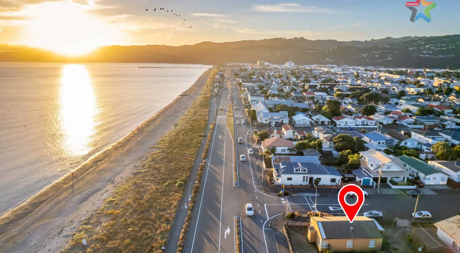 Property value - 217 The Esplanade, Petone - realestate.co.nz