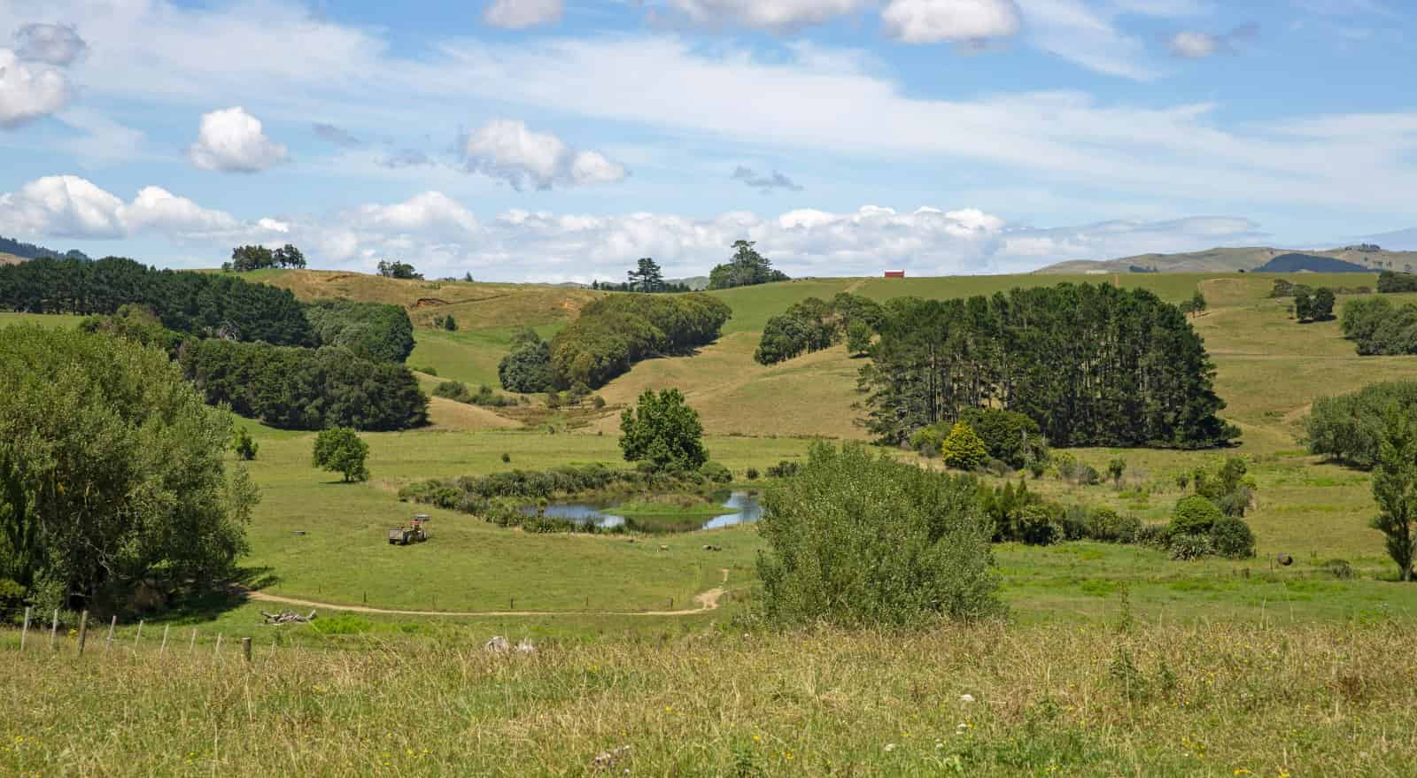 375 Okete Road, Raglan, Waikato - For Sale - realestate.co.nz