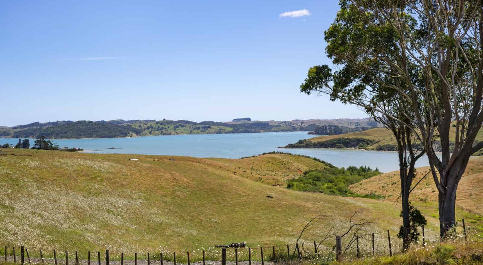 375 Okete Road, Raglan, Waikato - For Sale - realestate.co.nz