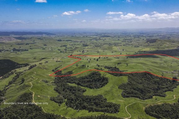 Sold - 61 Waikarakia Road, Maramarua - realestate.co.nz