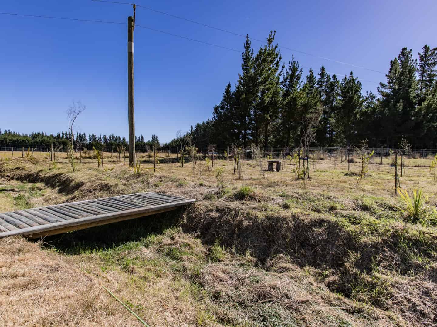 Loburn Homes and Real Estate for Sale - realestate.co.nz