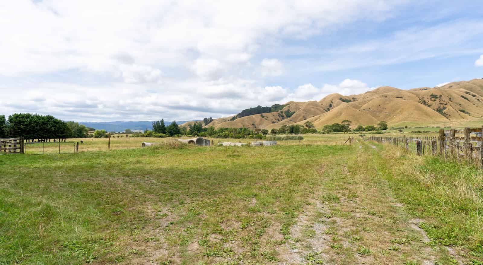 Lot 1-4, 75 Settlement Road, Te Horo, Kapiti Coast - For Sale ...