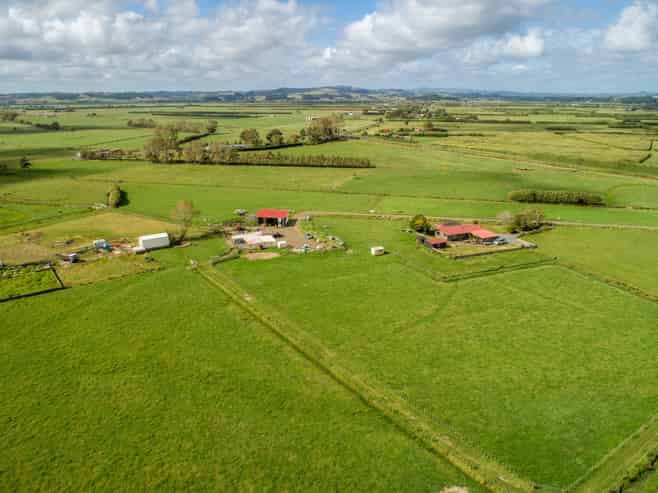 New Zealand Rural Dairy Farms for Sale - realestate.co.nz