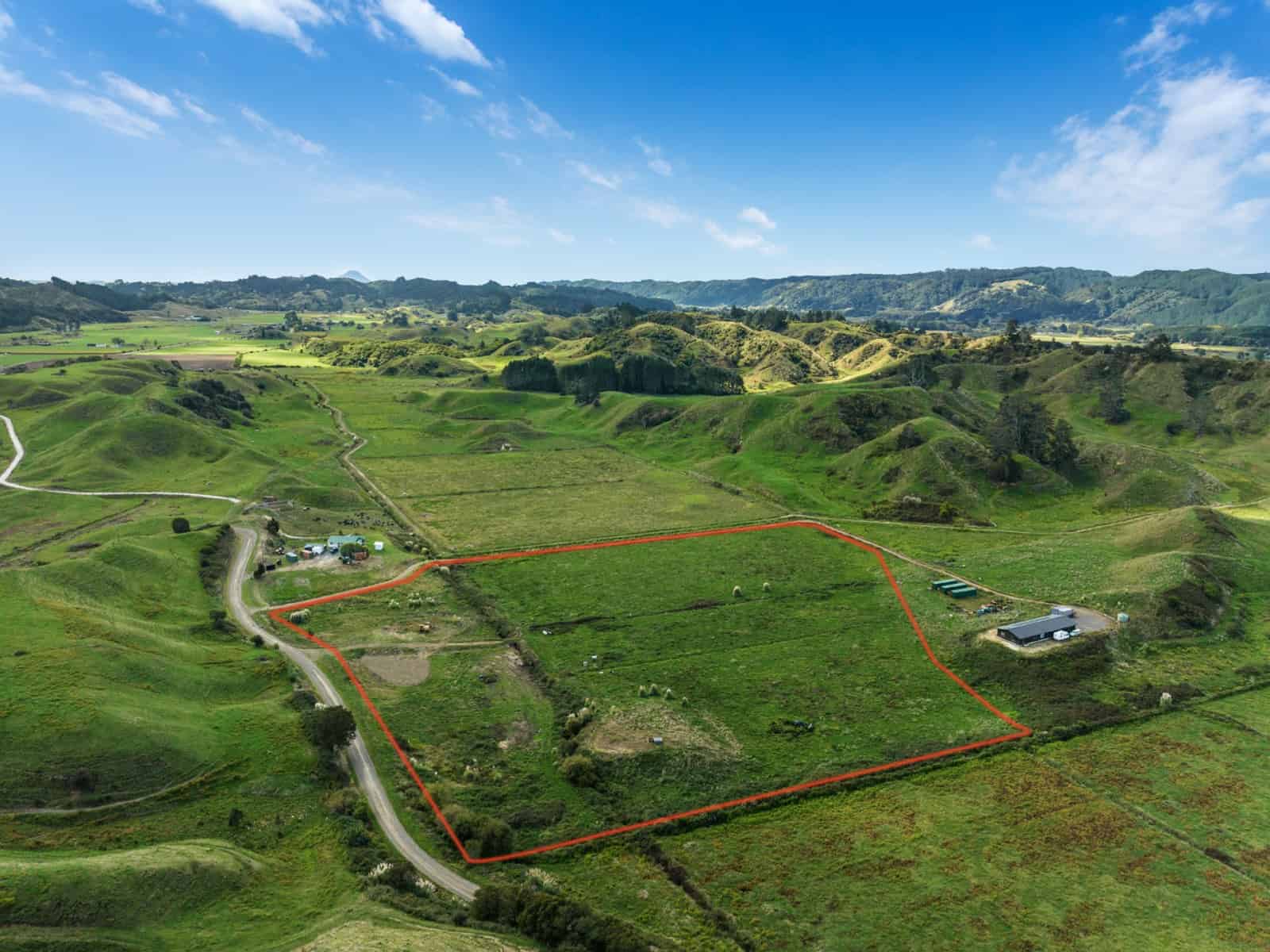 Taneatua Homes and Real Estate for Sale - realestate.co.nz
