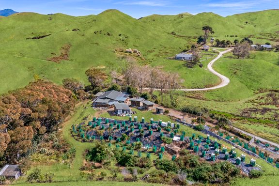 Property value - 207 Te Akau Wharf Road, Te Akau - realestate.co.nz