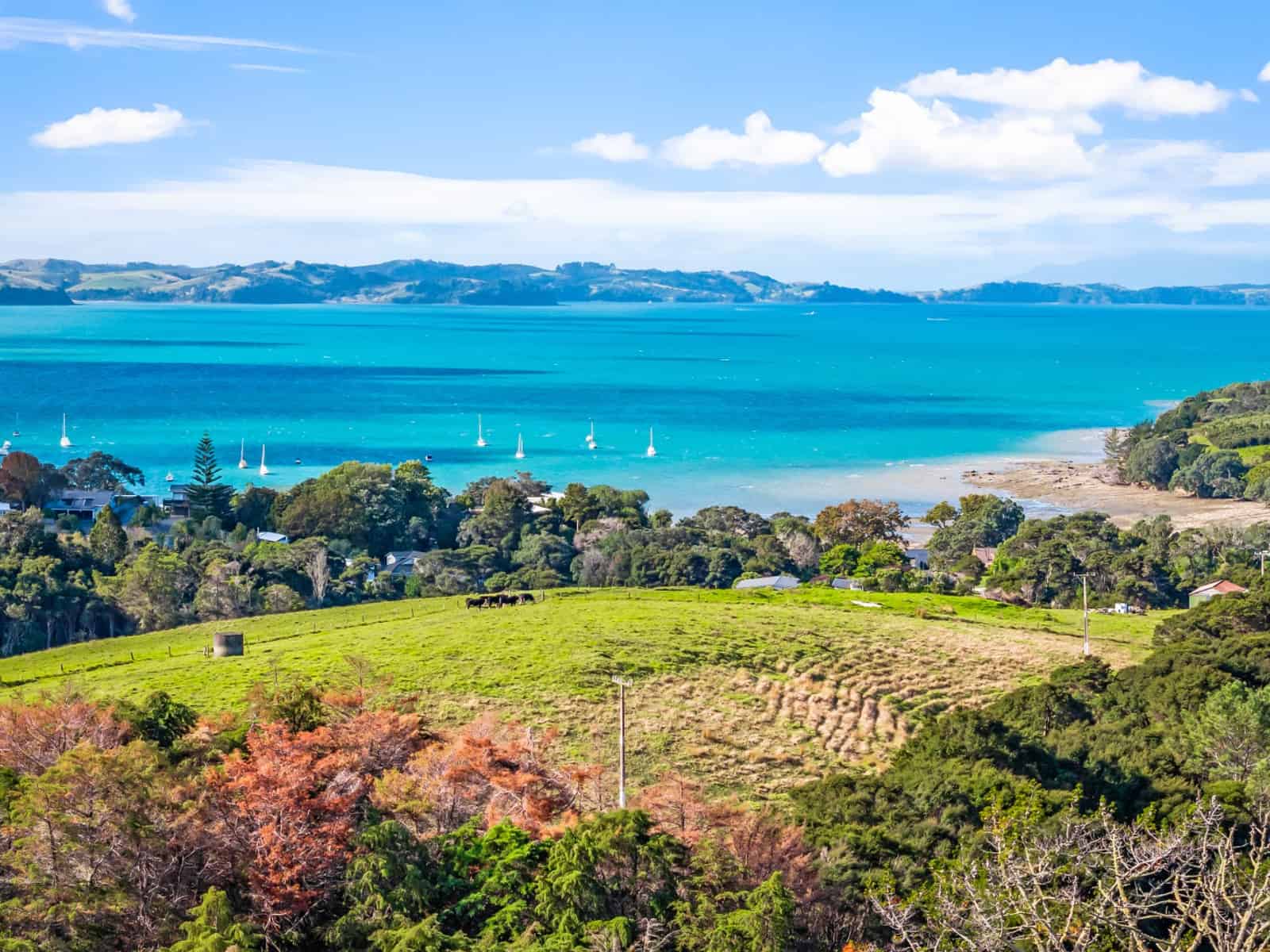 Algies Bay Homes and Real Estate for Sale - realestate.co.nz