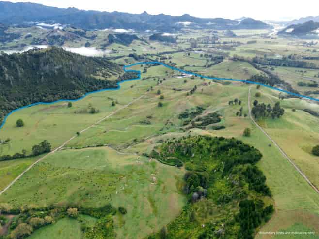 Coromandel Rural Farms and Real Estate for Sale - realestate.co.nz