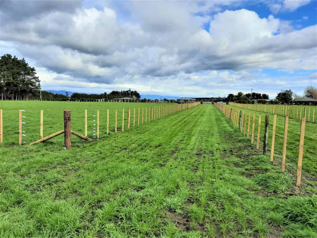 Foxton Homes and Real Estate for Sale - realestate.co.nz