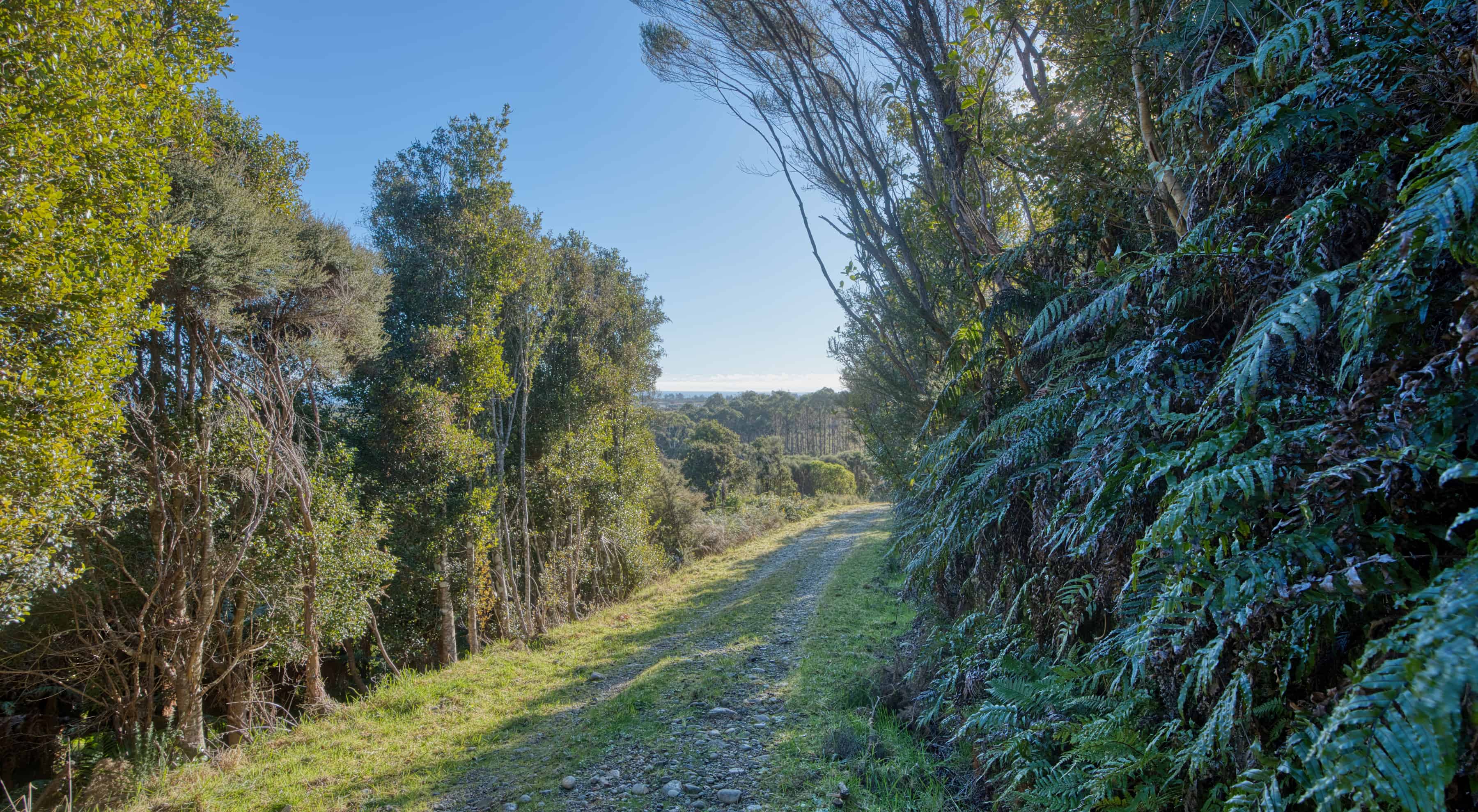 LOT 2 & 16 Brickfield Road, Hokitika, Westland - For Sale - realestate ...