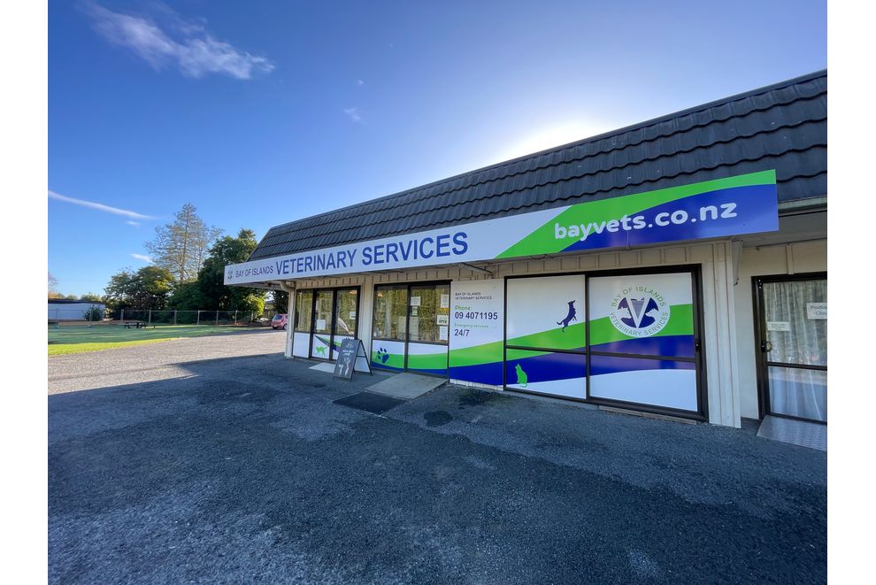 For lease 1526 Springbank Road, Kerikeri - realestate.co.nz