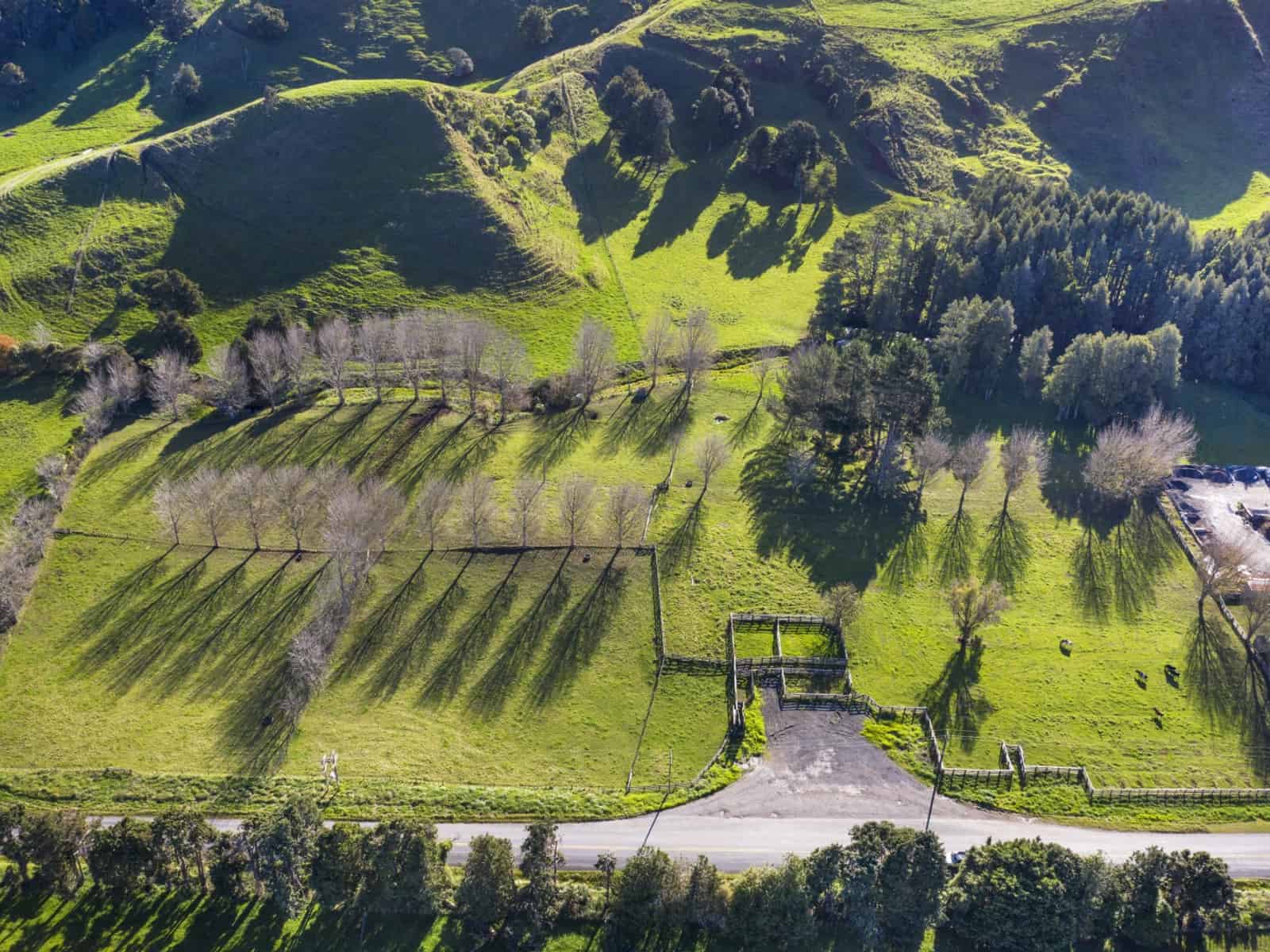 Raglan Homes and Real Estate for Sale - realestate.co.nz