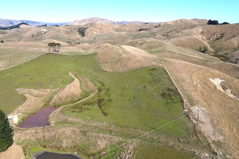Farms for sale | interest.co.nz