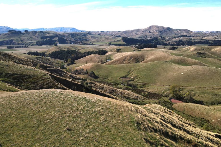 Farms for sale | interest.co.nz