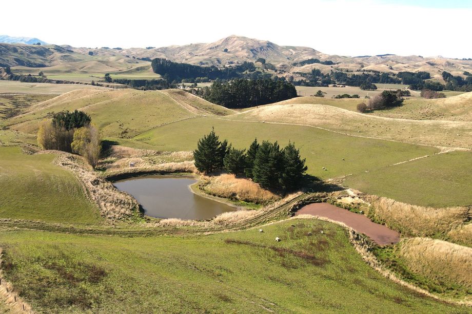 Farms for sale | interest.co.nz