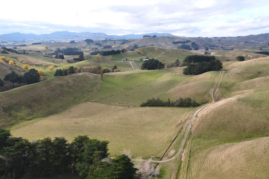 Farms for sale | interest.co.nz