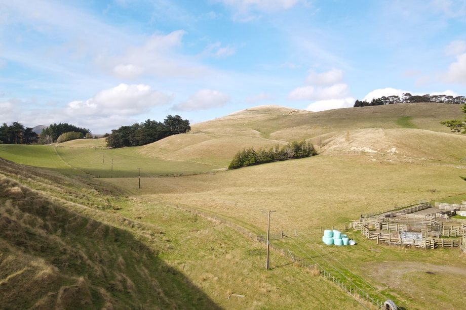 Farms for sale | interest.co.nz