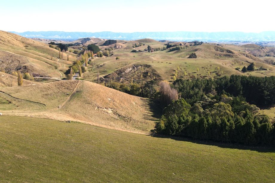 Farms for sale | interest.co.nz