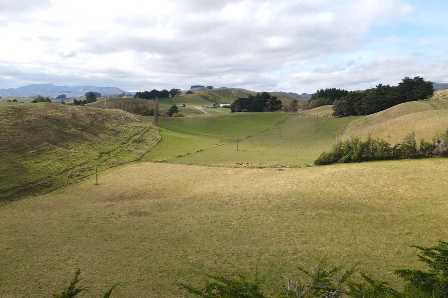 Farms for sale | interest.co.nz