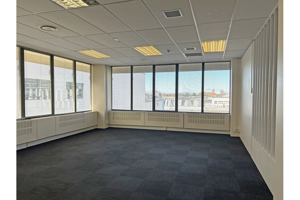 For lease 11 Garden Place, Hamilton Central - realestate.co.nz