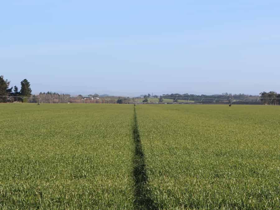 Timaru Rural Farms and Real Estate for Sale - realestate.co.nz