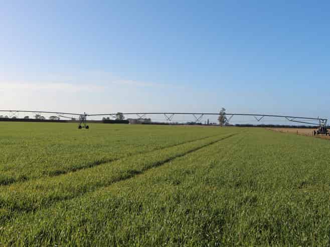 Timaru Rural Farms and Real Estate for Sale - realestate.co.nz