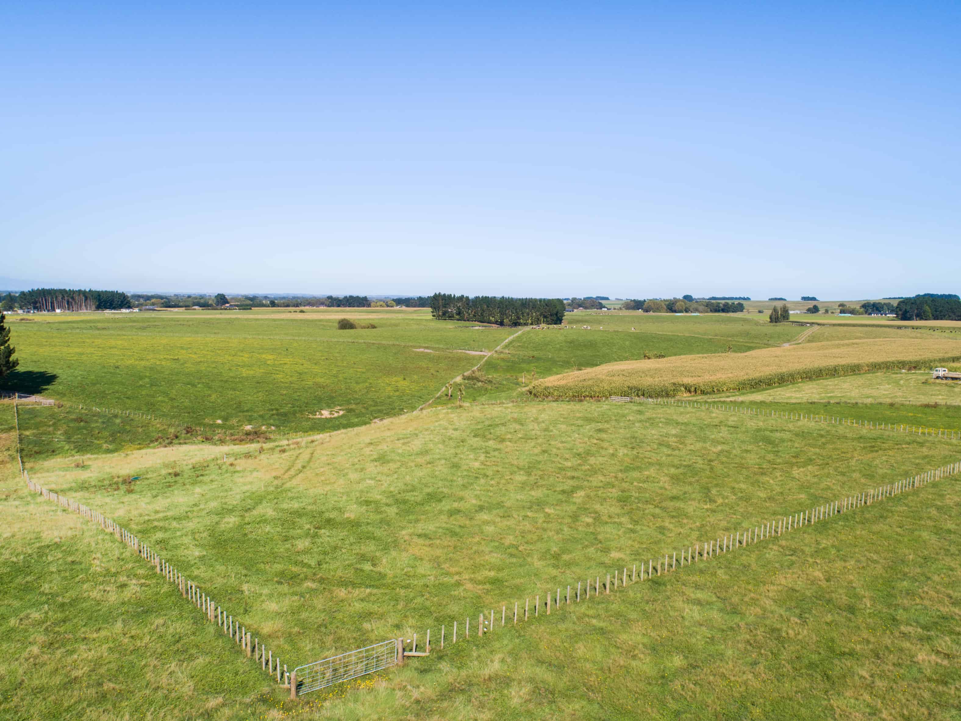 Manawatu Rural Farms and Real Estate for Sale - realestate.co.nz