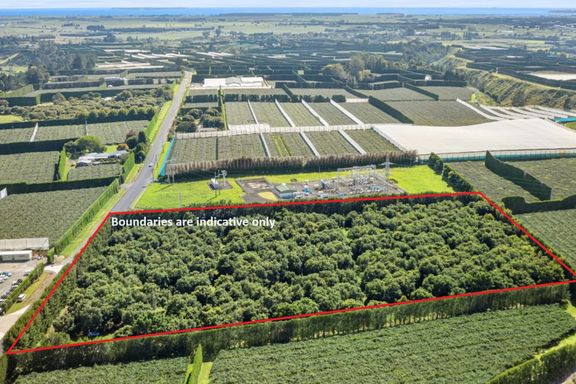 Sold - 311 Te Matai Road, Te Puke - realestate.co.nz