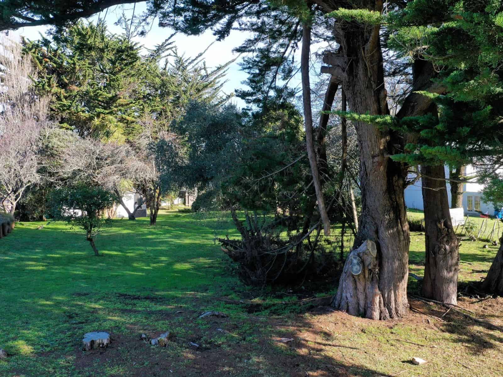 Hokio Beach Homes and Real Estate for Sale - realestate.co.nz