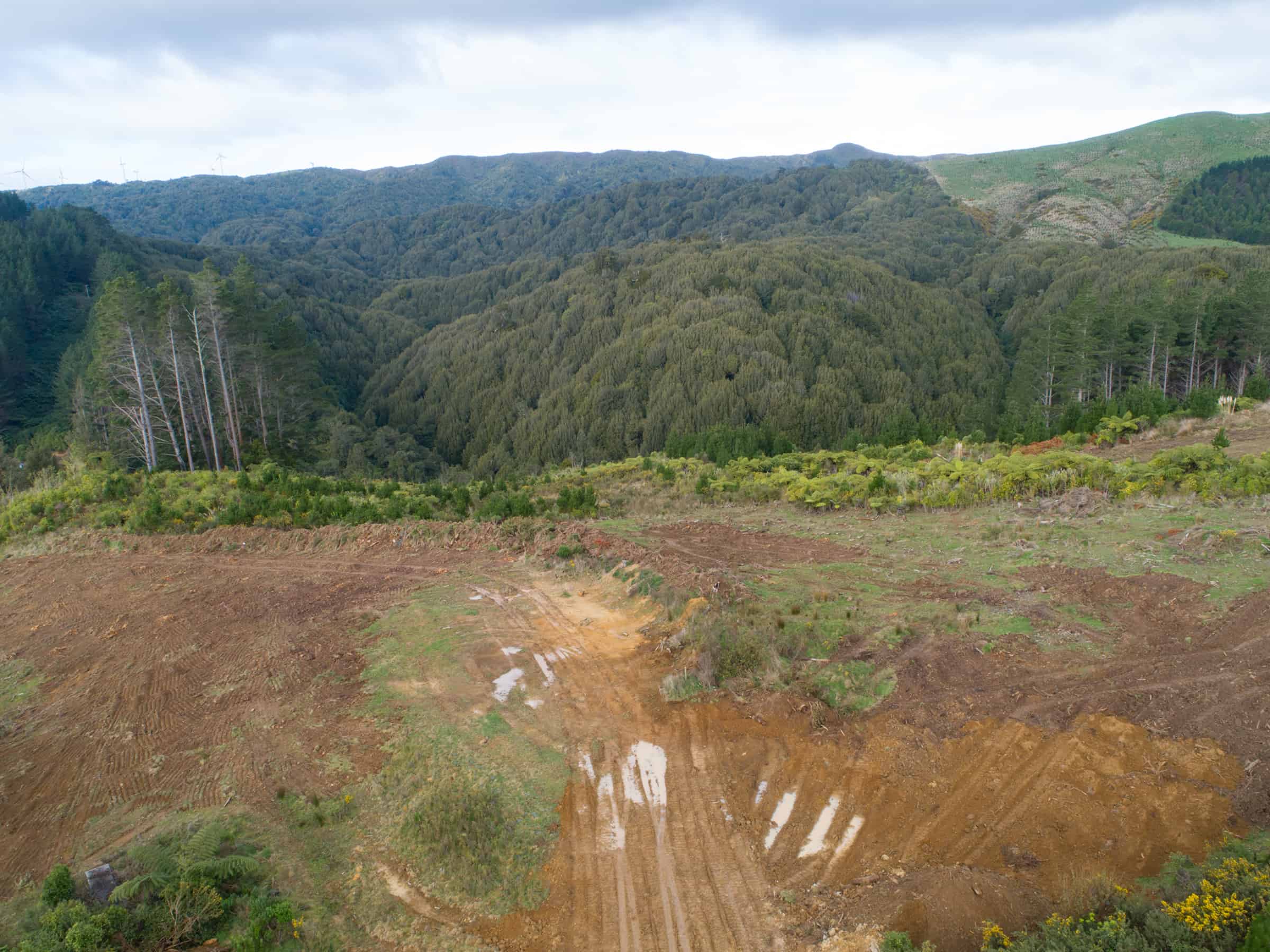 Turitea Homes and Real Estate for Sale - realestate.co.nz