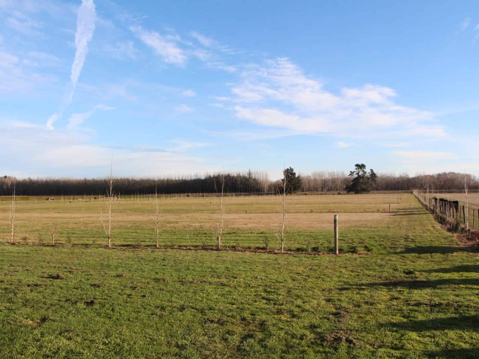 Temuka Homes and Real Estate for Sale - realestate.co.nz