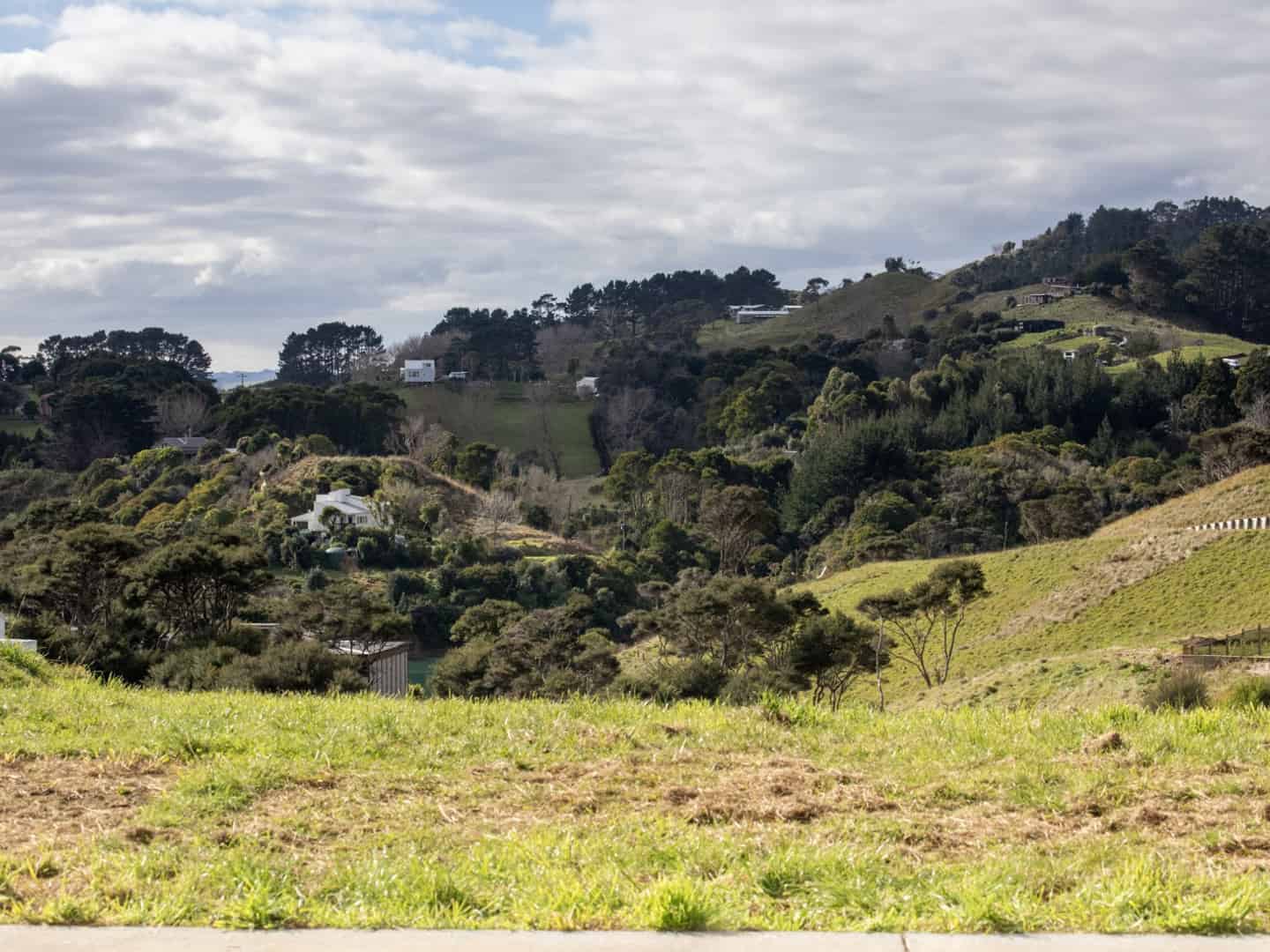 Raglan Homes and Real Estate for Sale - realestate.co.nz