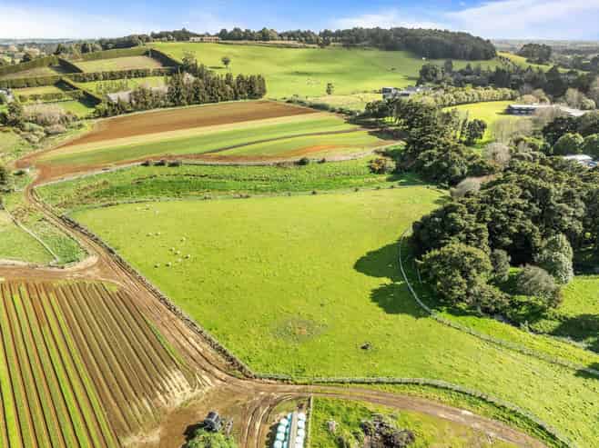 Auckland Rural Farms and Real Estate for Sale - realestate.co.nz
