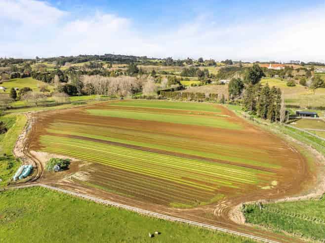 Auckland Rural Farms and Real Estate for Sale - realestate.co.nz
