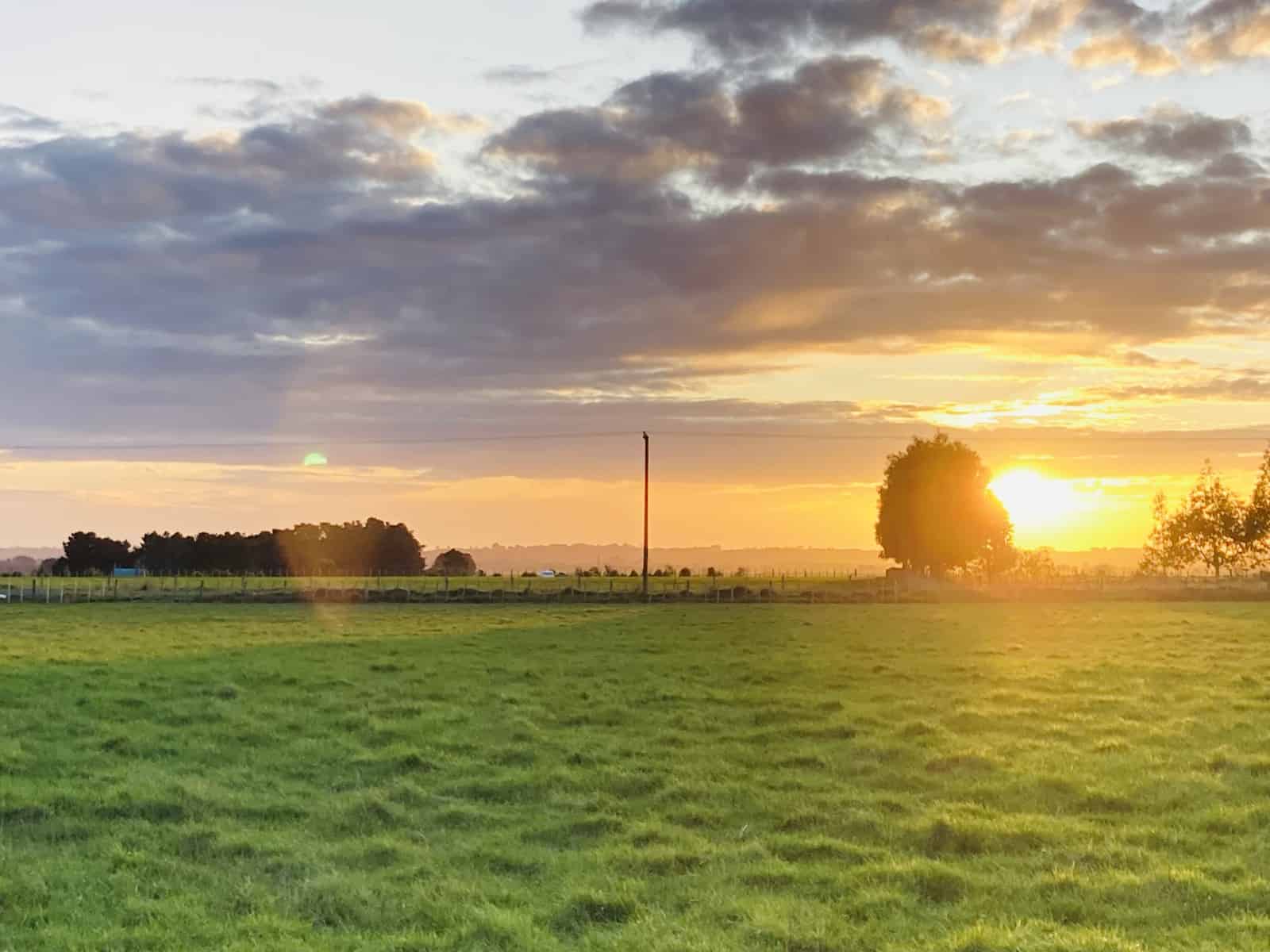 Feilding Rural Farms and Real Estate for Sale - realestate.co.nz