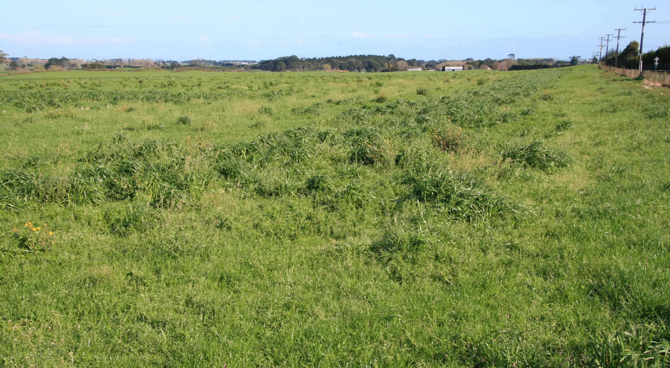 127 Kairau Road East, Brixton, New Plymouth - For Sale - realestate.co.nz