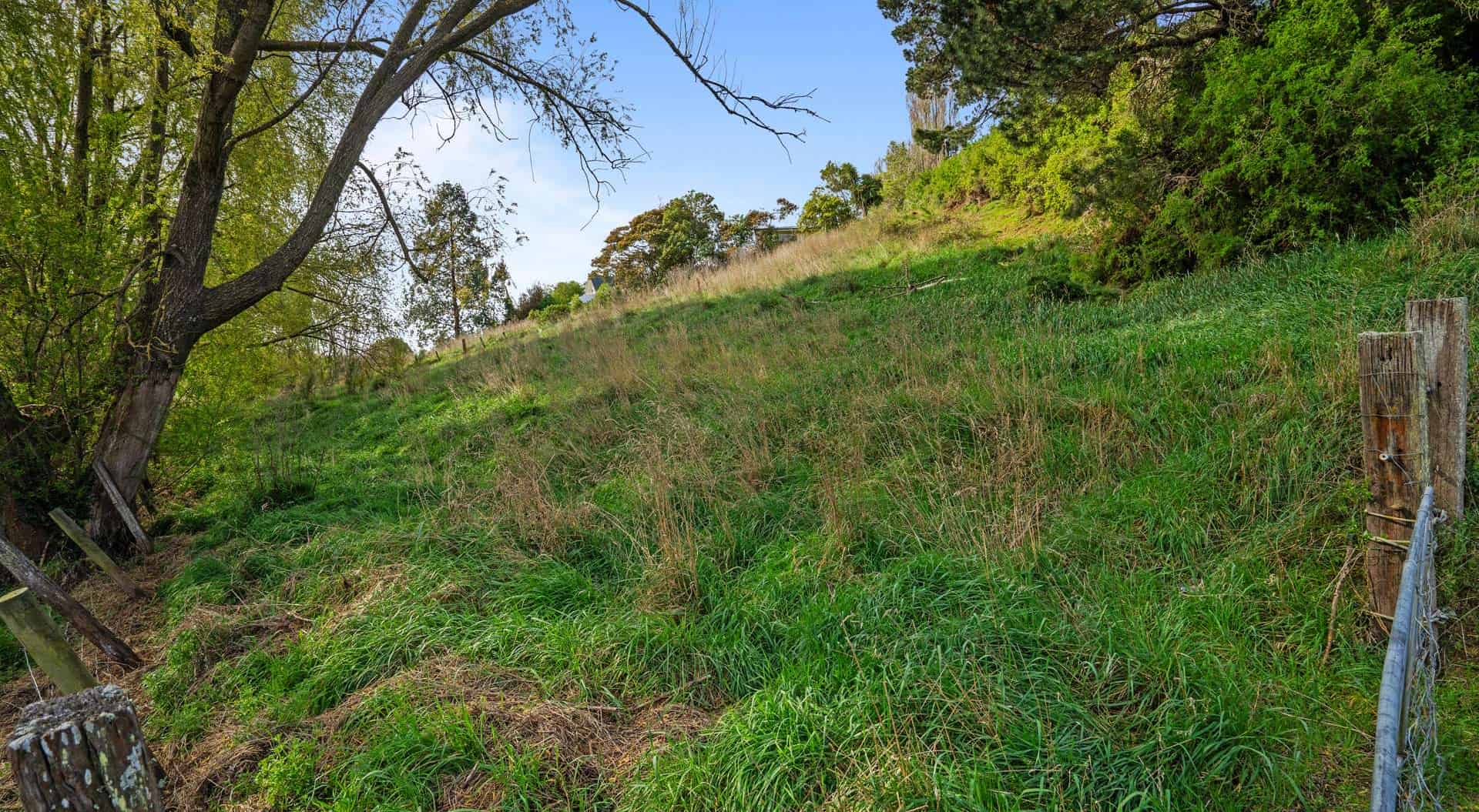 35 &37 Roxby Street, Oamaru, Waitaki - For Sale - realestate.co.nz