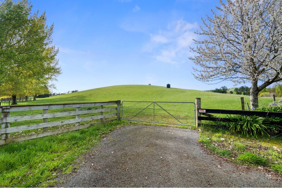117L Lees Pakaraka Road, Masterton, Masterton - For Sale - realestate.co.nz