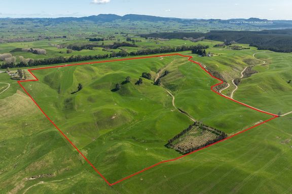 Sold - 51 Rakau Road, Reporoa and Surrounds - realestate.co.nz