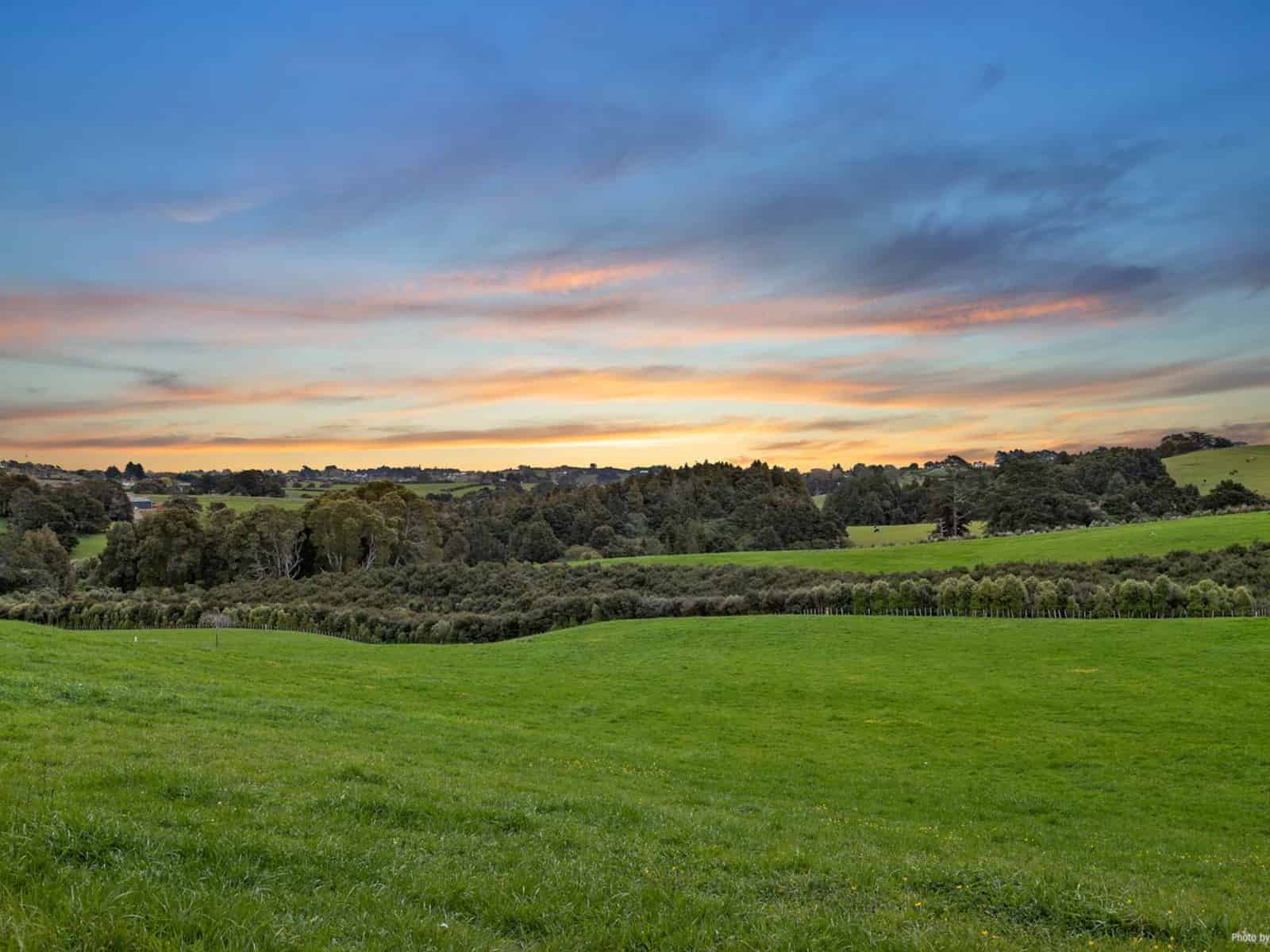 Auckland Rural Farms and Real Estate for Sale - realestate.co.nz