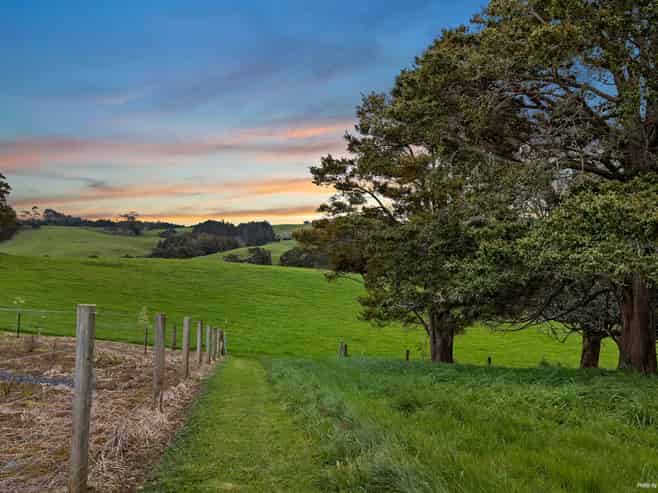 Auckland Rural Farms and Real Estate for Sale - realestate.co.nz