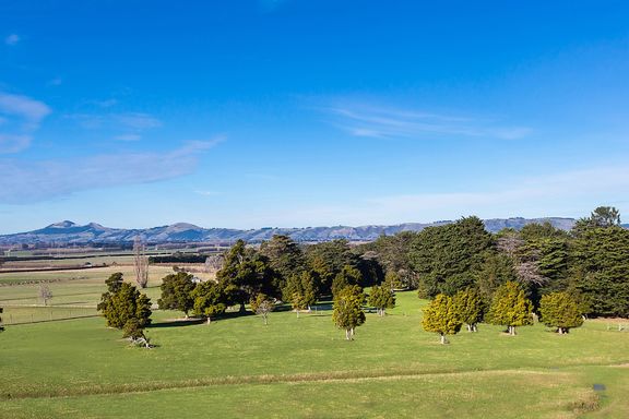 Sold - 125 Woodside Road, Outram - realestate.co.nz