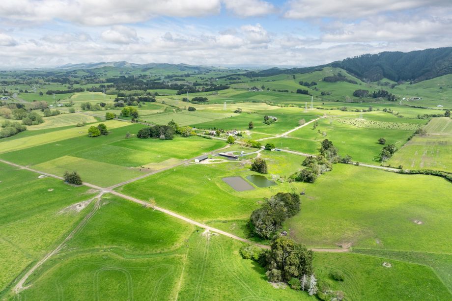 Farms for sale | interest.co.nz