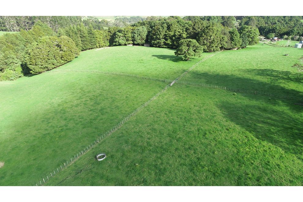 41 Pinehill Road, Pakaraka, Far North - For Sale - realestate.co.nz